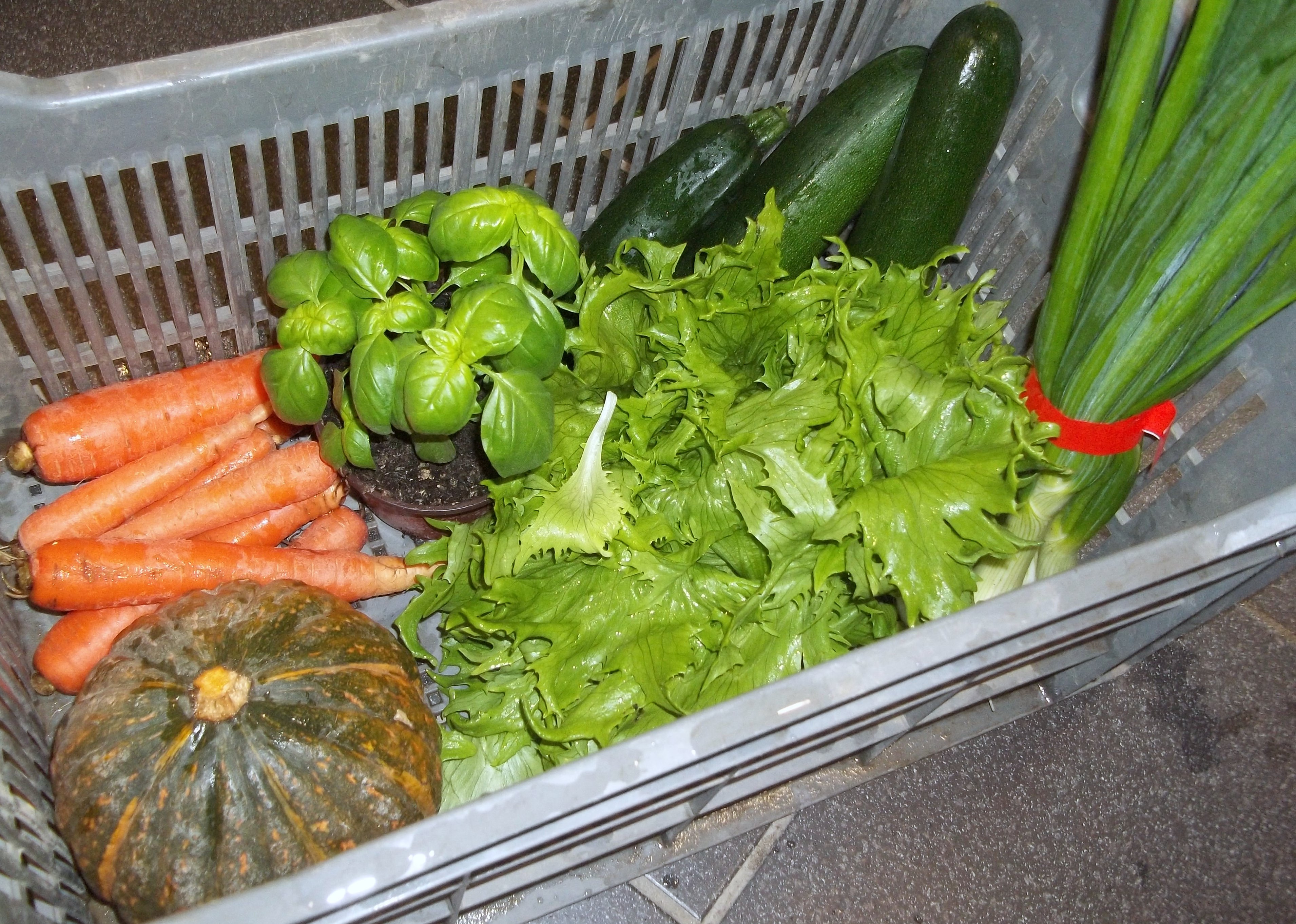 Panier Légumes Isar’AMAP